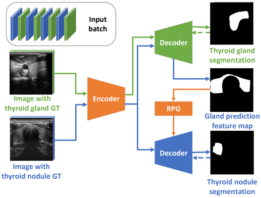 [论文阅读] Multi-Task Learning for Thyroid Nodule Segmentation with Thyroid Region Prior_multi-task ...