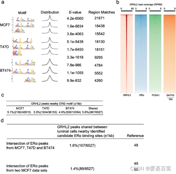 Cell Commun Signal｜ChIP-seq和Bru-seq揭示转录因子GRHL2在管腔型乳腺癌中的调控网络_转录因子落在编码区怎么办-CSDN博客