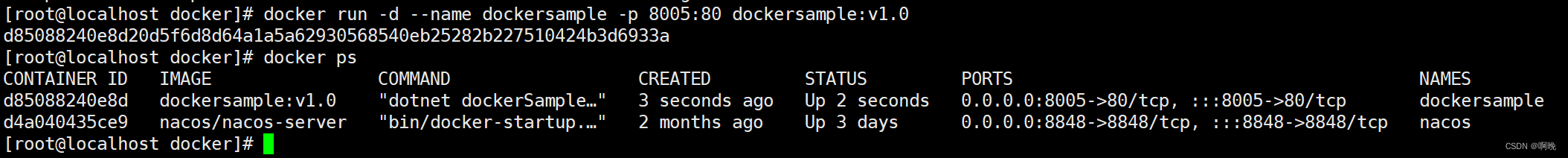 【精选】容器技术—.net core on docker_.net core 2.2使用docerk运行-CSDN博客