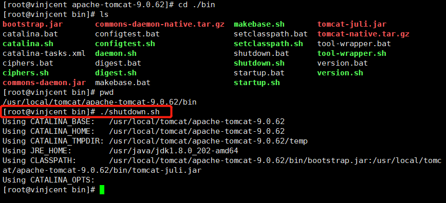 Linux操作系统CentOS7安装Tomcat[详细版]-CSDN博客