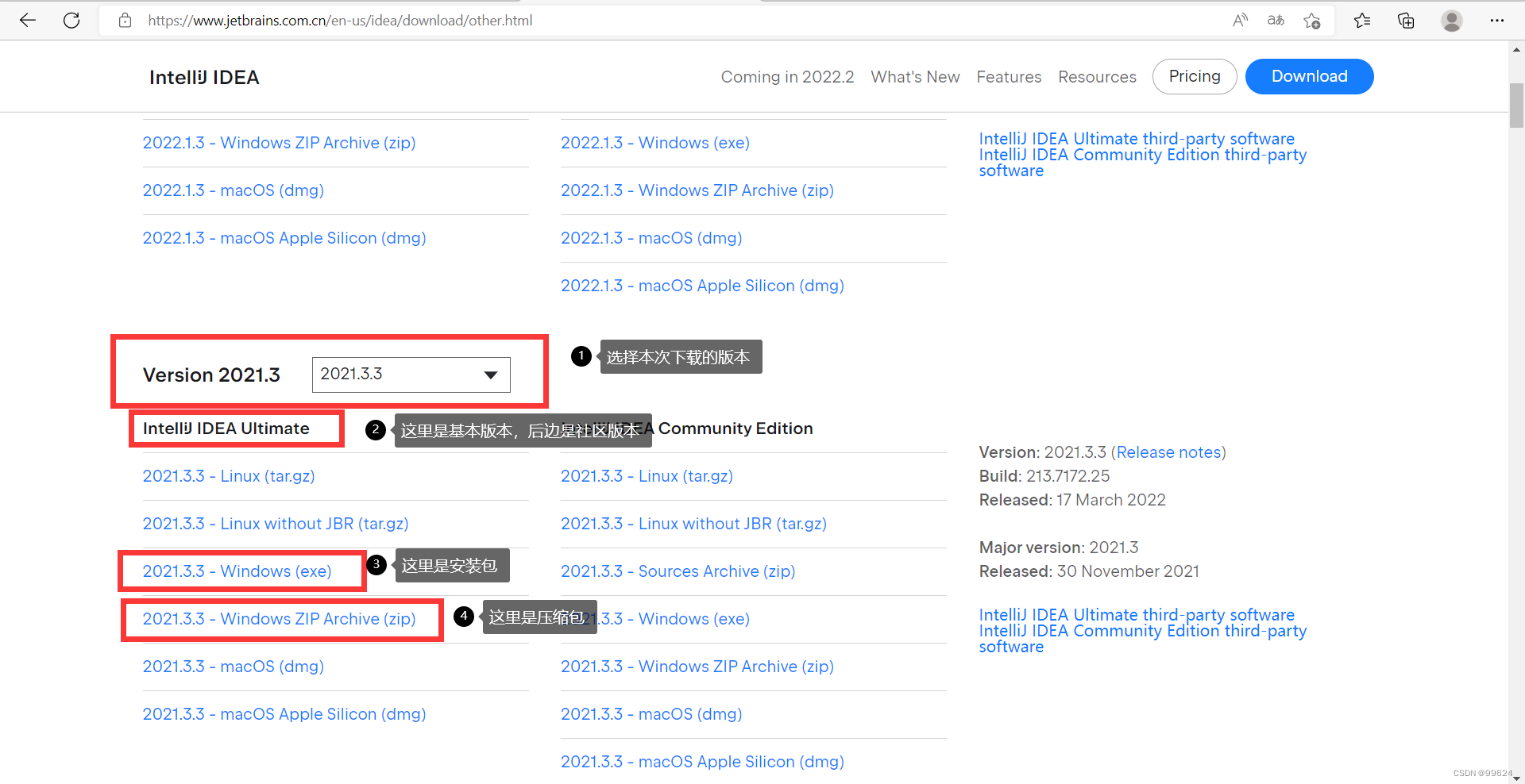 Intellij IDEA2021.3.3_idea2021.3.3下载-CSDN博客
