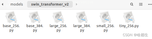 保姆级使用PyTorch训练与评估自己的Swin Transformer V2网络教程_swin transformer v2代码-CSDN博客