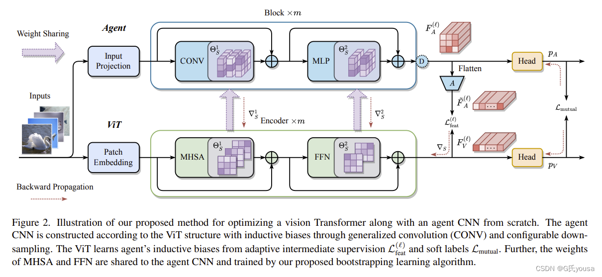 阅读文献1：Bootstrapping ViTs: Towards Liberating Vision Transformers from ...