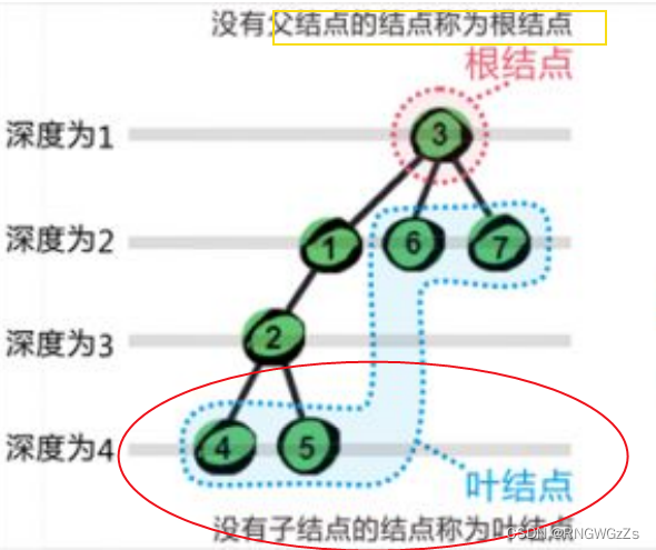 二叉树与树的概念_从前有一棵树叫高数-CSDN博客