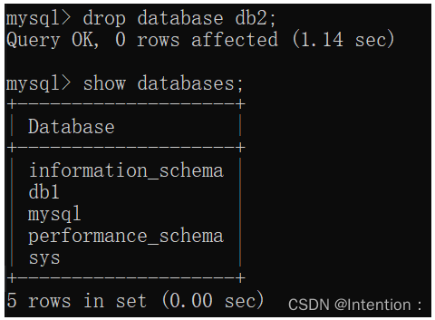 JavaWeb学习笔记（二）DDL、DML、DQL_java ddl-CSDN博客