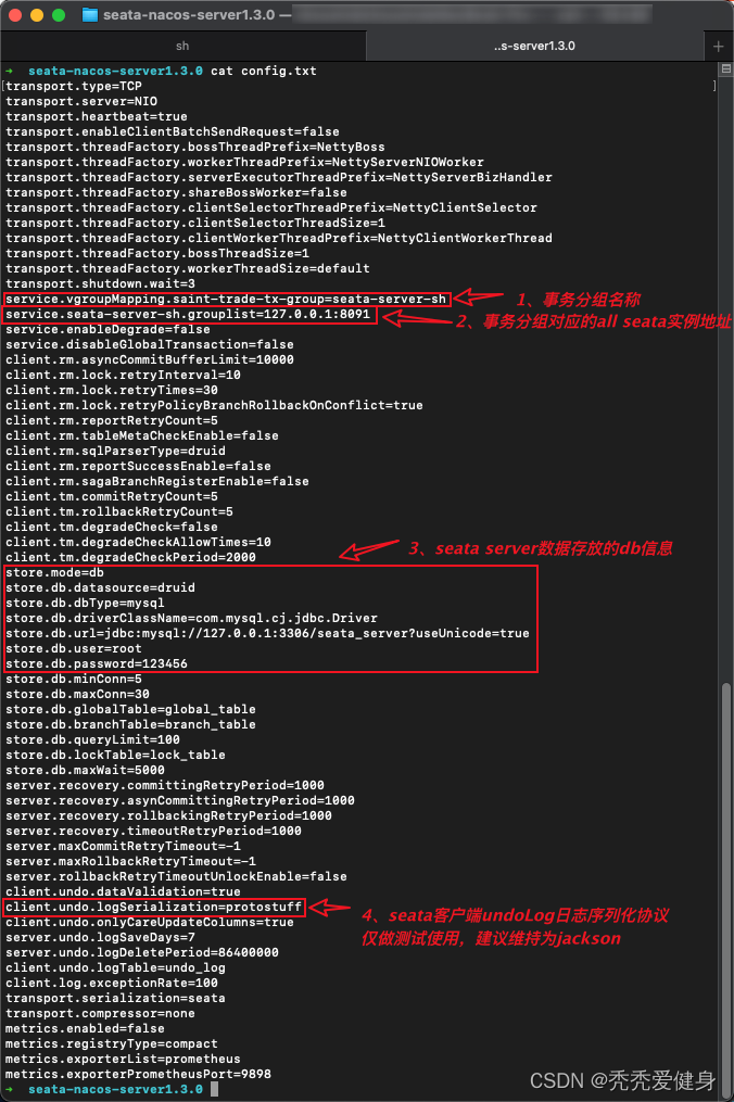 【微服务 32】你为Spring Cloud整合Seata、Nacos实现分布式事务案例跑不起来苦恼过吗（巨细排坑版）【云原生】_分布式事务Seata入门到精通-CSDN专栏