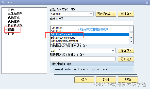 SAP GUI 代码补全设置、SAP/ABAP 快捷键修改_sap 日记账的补充代码在哪里设置啊-CSDN博客