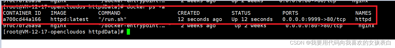 使用docker容器部署httpd（绝对可用）-CSDN博客