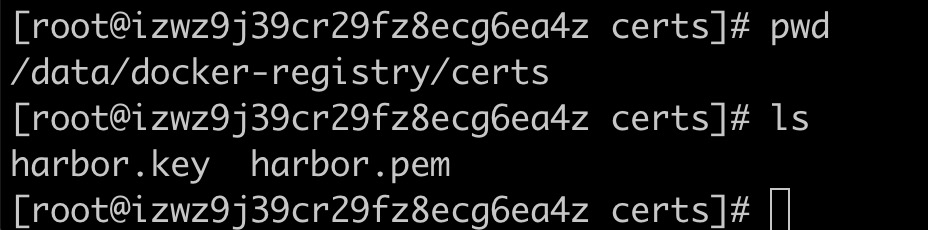 Create a Docker private mirror warehouse with HTTPS (Registry) - Programmer Sought