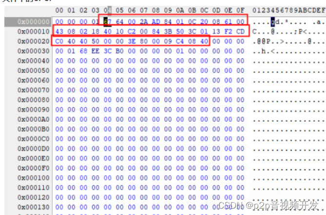 RTP协议基本分析在RTSP、WebRTC使用_rtp协议 常用端口-CSDN博客