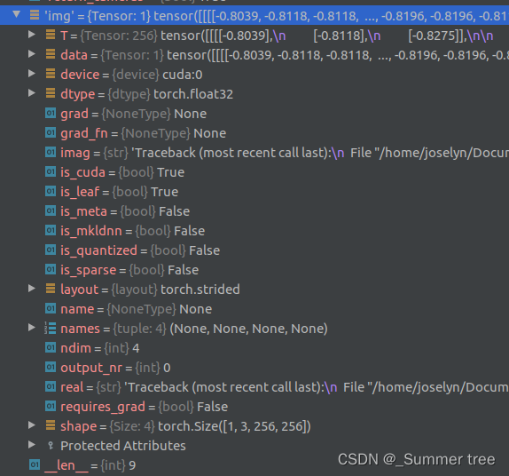 【编码实现】结合encoder和projector对w进行优化（projector_encoder.py）_encoder projector ...
