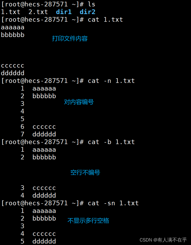 Linux（3linux基本指令2）linux Less 通配符 Csdn博客