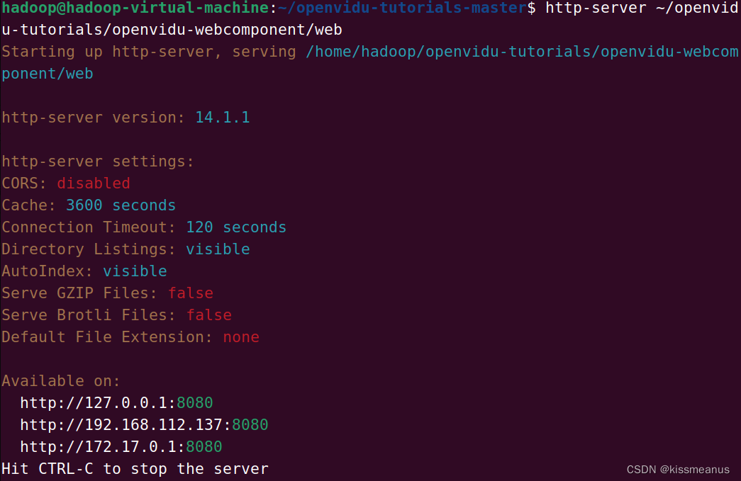 OpenVidu(四) 客户端_openvidu客户端-CSDN博客