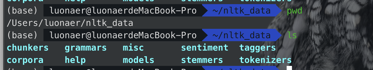 安装nltk库及nltk_data数据包_nltk data-CSDN博客