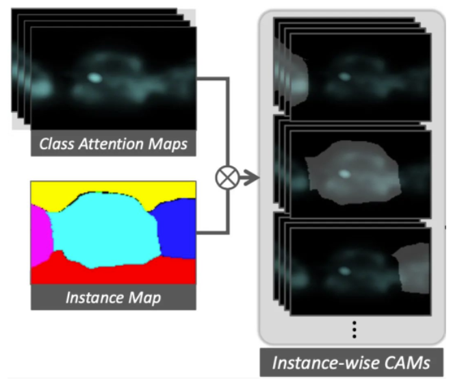 【论文阅读】Causal Intervention for Weakly-Supervised Semantic Segmentation-CSDN博客