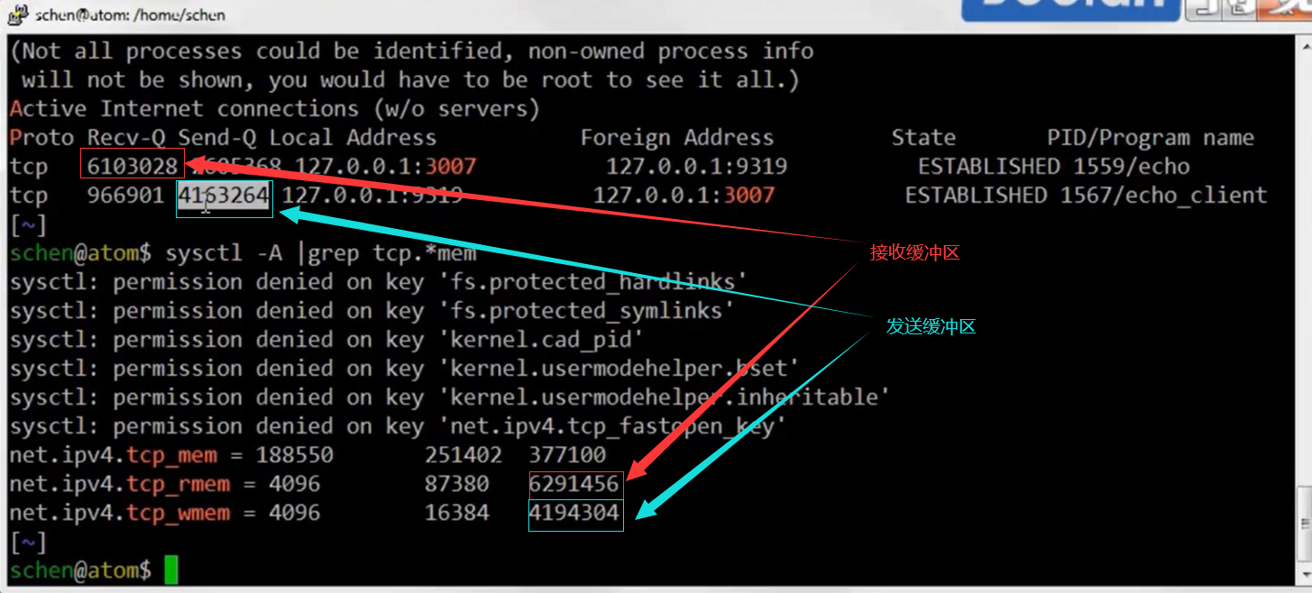 【网络编程实践】2.1.3 阻塞IO下的 echo实验_echo会阻塞缓冲区吗-CSDN博客