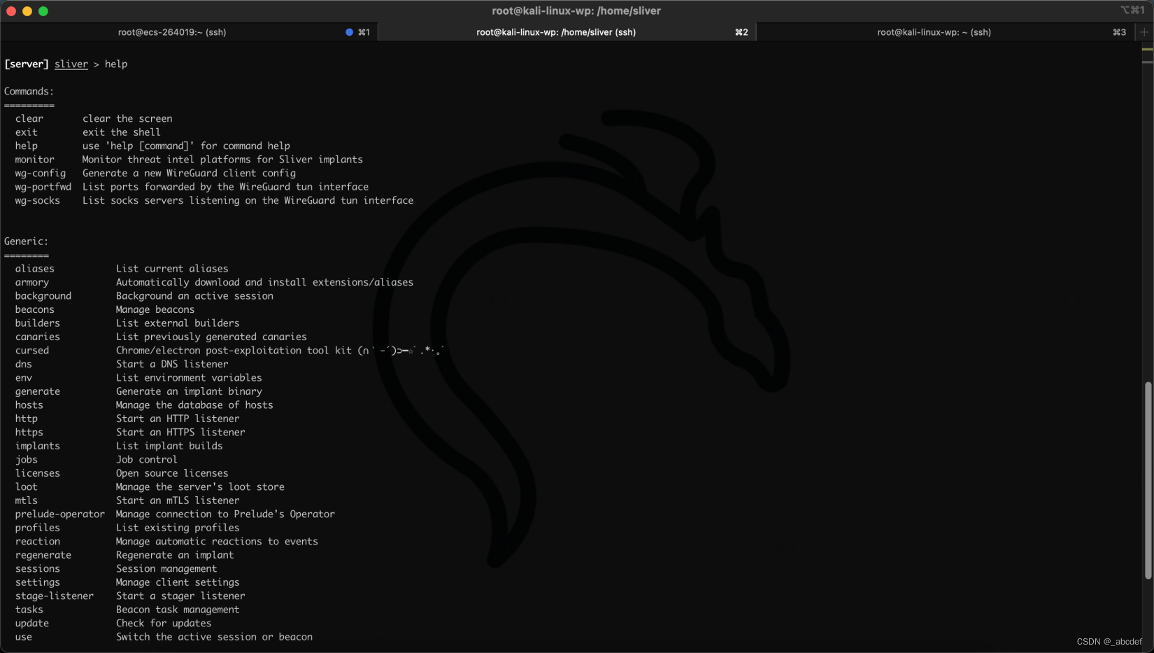 sliver_sliver上线后help-CSDN博客
