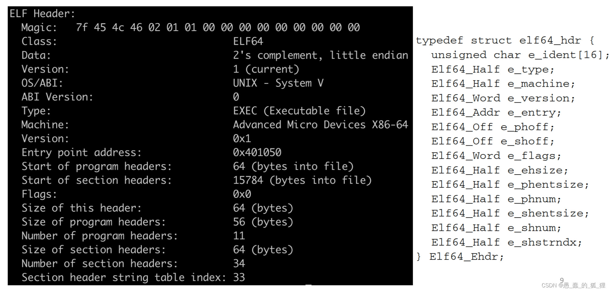 纯手搓C++实现读取ELF文件头信息、段表信息和节表信息_c代码实现解析elf文件-CSDN博客
