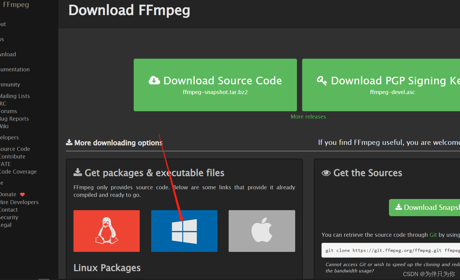 录屏软件Captura报错Unknown encoder ‘libx264‘_captura发生了一个错误-CSDN博客