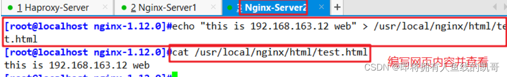 高效多用的群集之Haproxy配合Nginx搭建Web集群_前端项目集群用什么-CSDN博客