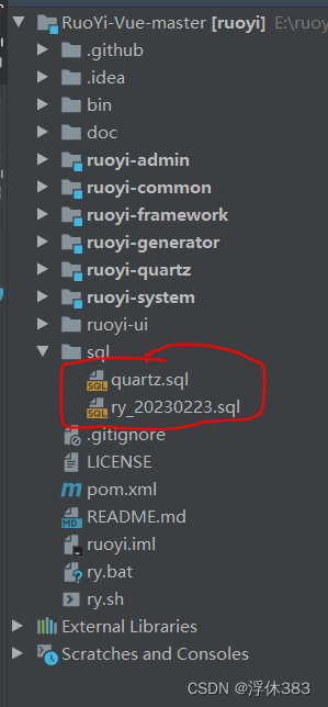 Ruoyi（若依）的基本使用与新增调试若依测试target Csdn博客 