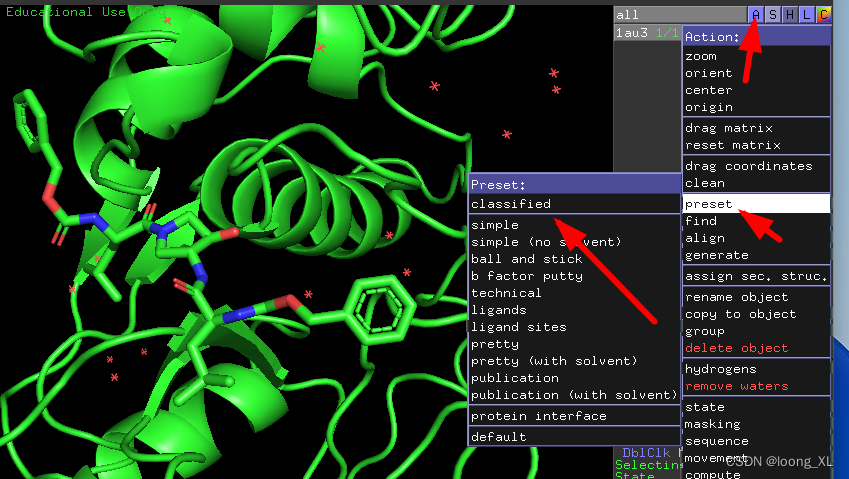 Pymol 分离蛋白与小分子保存;pymol分离蛋白多聚体亚基;pymol对接位点交互图展示;去除杂原子loongxl的博客 Csdn博客