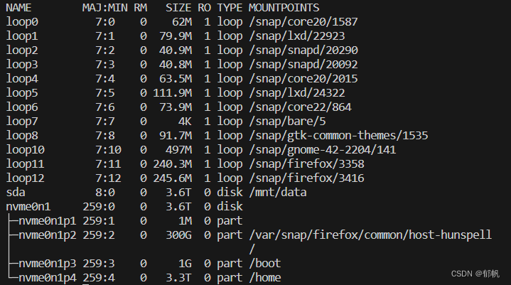 【linux文件系统】lsblk命令里面设备名sda、nvme0n1和loop的区别_lsblk loop-CSDN博客