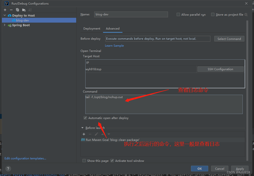 自动部署 Alibaba Cloud Toolkit 的相关使用 以及 运行脚本的使用分享 （Java）_alibaba cloud 插件部署后没有自动运行日志命令-CSDN博客