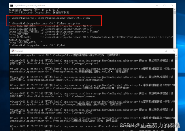 VMware windows10安装tomcat（傻瓜式部署）_vm安装tomcat_正在努力的泰迪的博客-CSDN博客