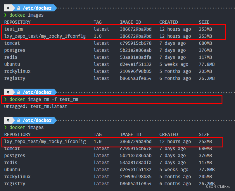  Docker Tag Docker docker tag Lilixxs CSDN 