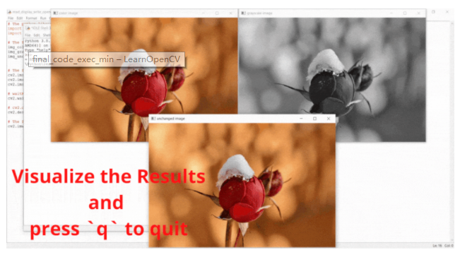 opencv 基础 (一)：使用OpenCV读取、显示和写入图像_opencv读取图片-CSDN博客