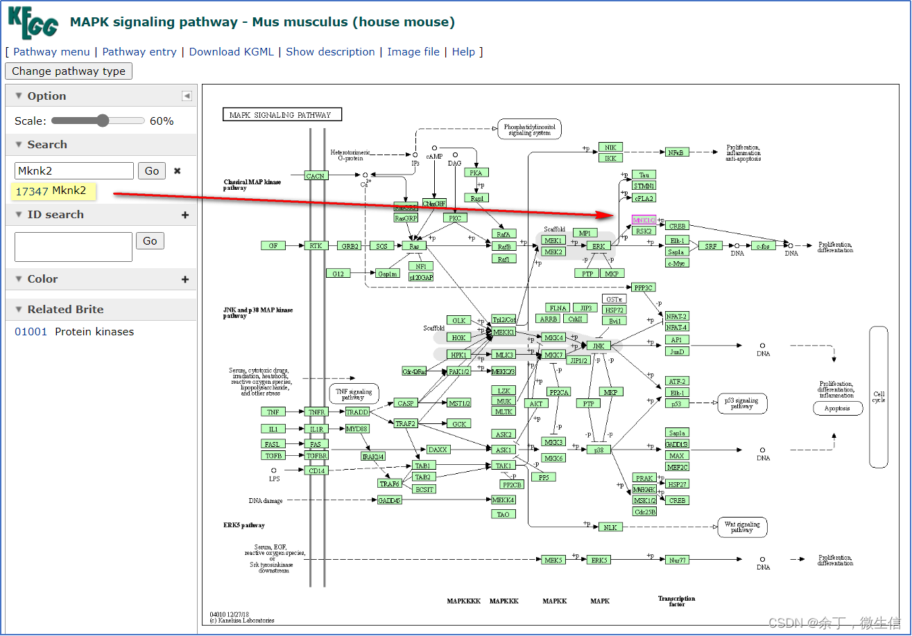 手把手教你给KEGG pathway图标注颜色_kegg通路图红色字体-CSDN博客