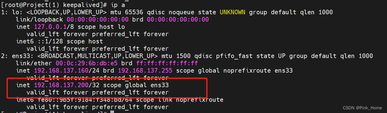 项目练习：LVS + Keepalived + Nginx实现搭建高性能、高可用的服务器_Pink_Home的博客-CSDN博客