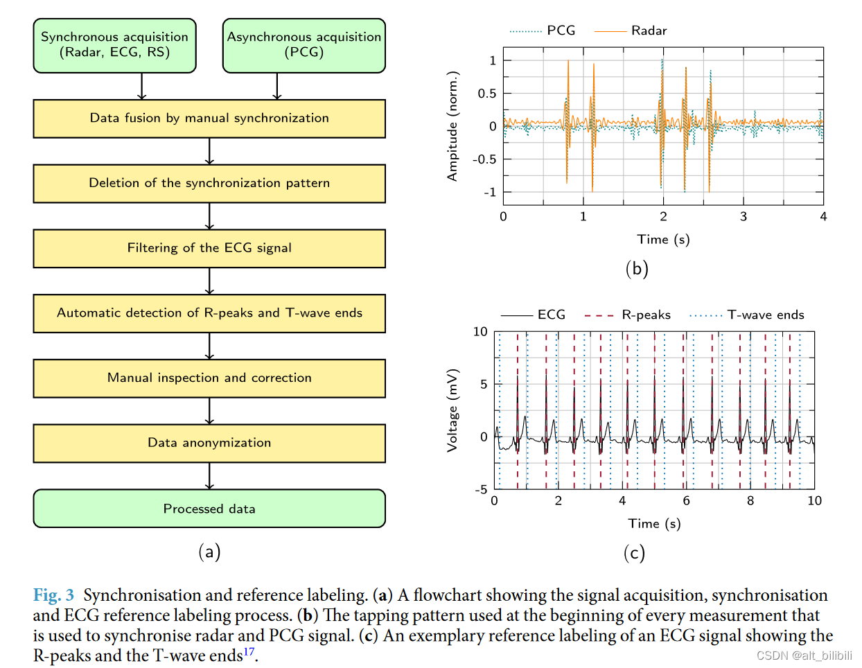 ECG数据集论文阅读1_心音数据集-CSDN博客