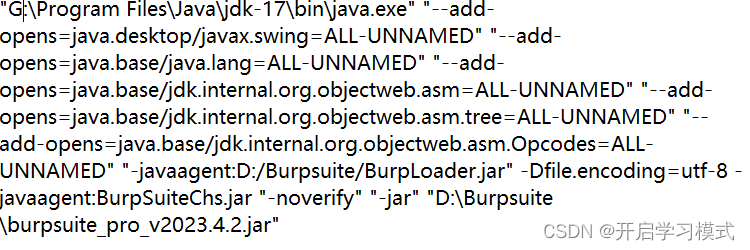 Burp Suite汉化_burpsuite汉化补丁-CSDN博客