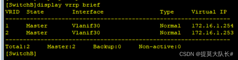 单一VLAN利用VRRP实现负载均衡_基于vlan的vrrp-CSDN博客