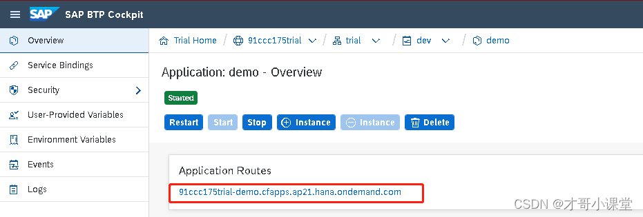 SAP BTP-Cloud foundry 构建并部署JAVA应用程序-CSDN博客