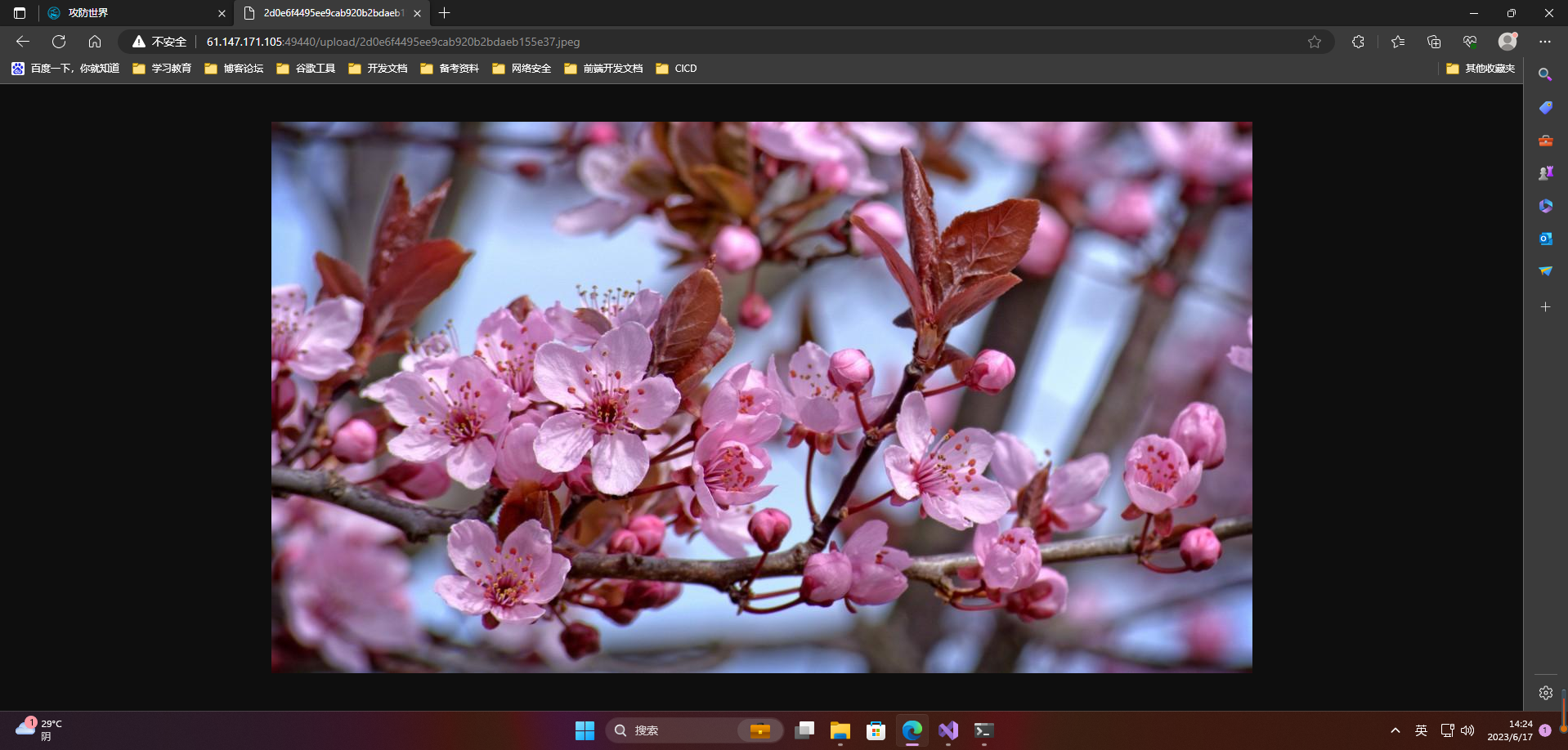 【愚公系列】2023年06月 攻防世界-Web（wzsc_文件上传）-CSDN博客