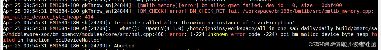 Sophgo Se5微服务器内置sdk版本与算法应用交叉编译sdk版本不一致导致service启动算法应用报错 Error 224unknown Error Code 224涂鸦