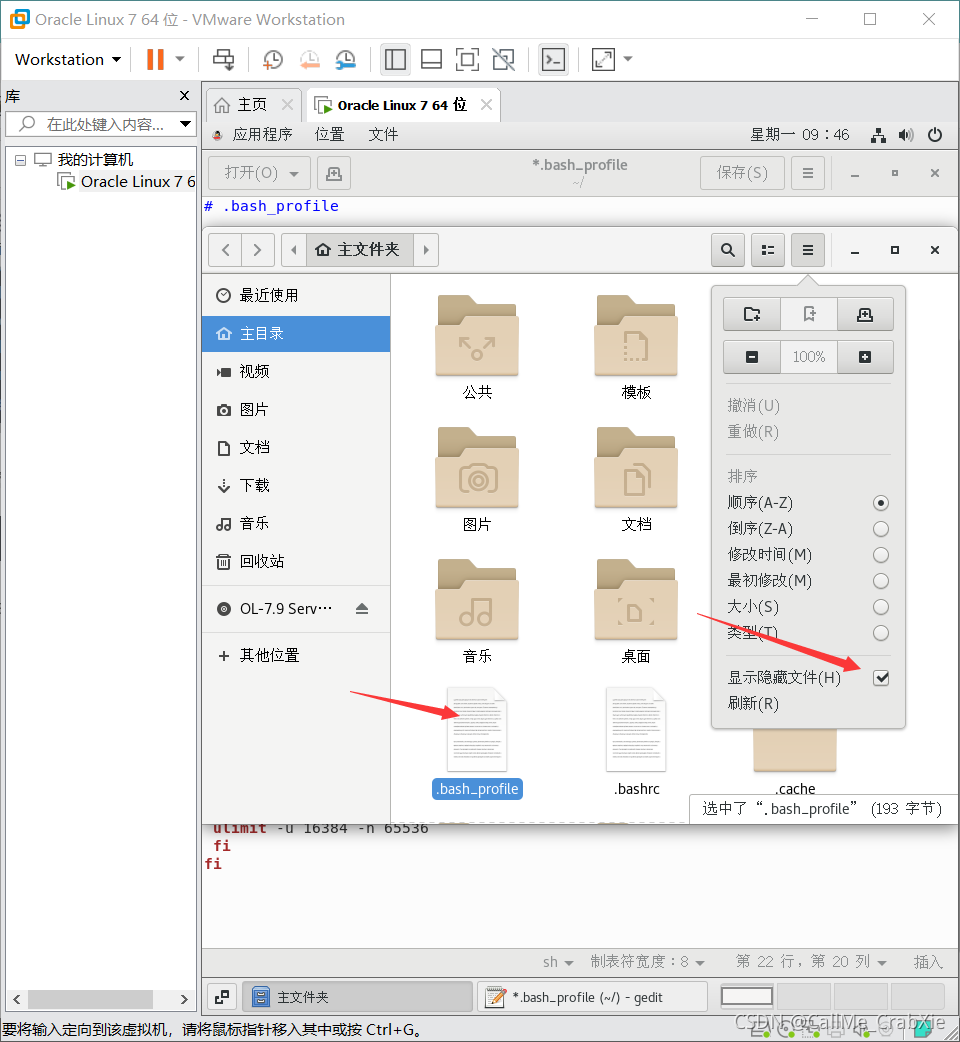 Linux下的oracle 19c 安装zai Ubutu Anzhuang Oracle 19c Csdn博客
