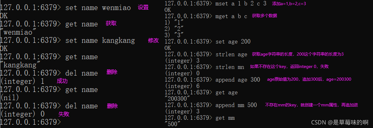 Redis键值对数据库的基本操作 Csdn博客