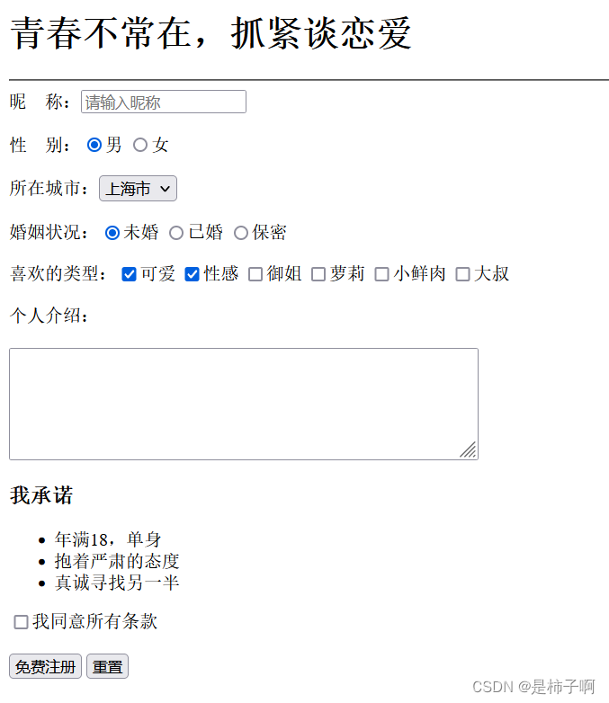 Html表单练习 Csdn博客 