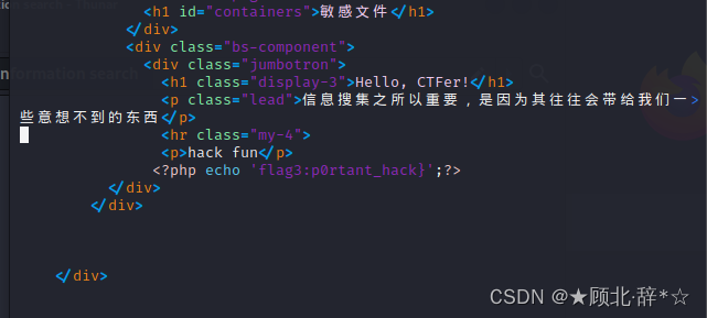 从0到1：CTFer成长之路——常见的搜集_从0到1的ctferurl如何获得-CSDN博客