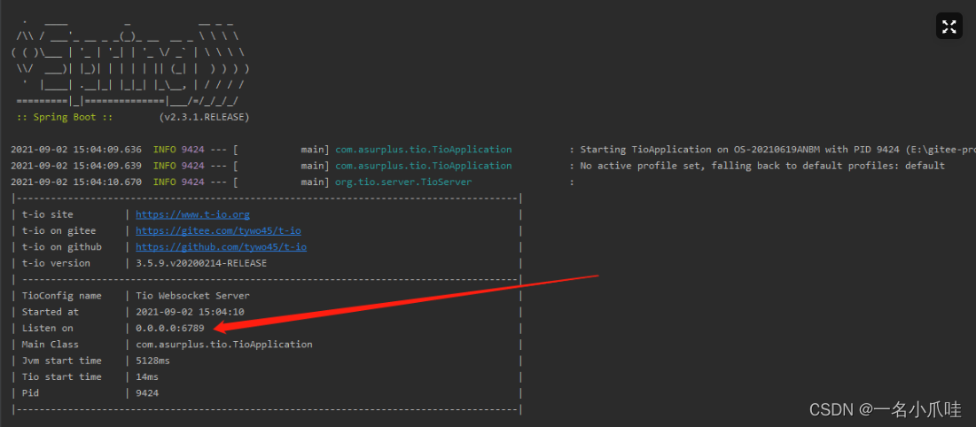 【springboor与tio-websocket集成】2、整合tio-websocket-server_springboot集成tio-CSDN博客