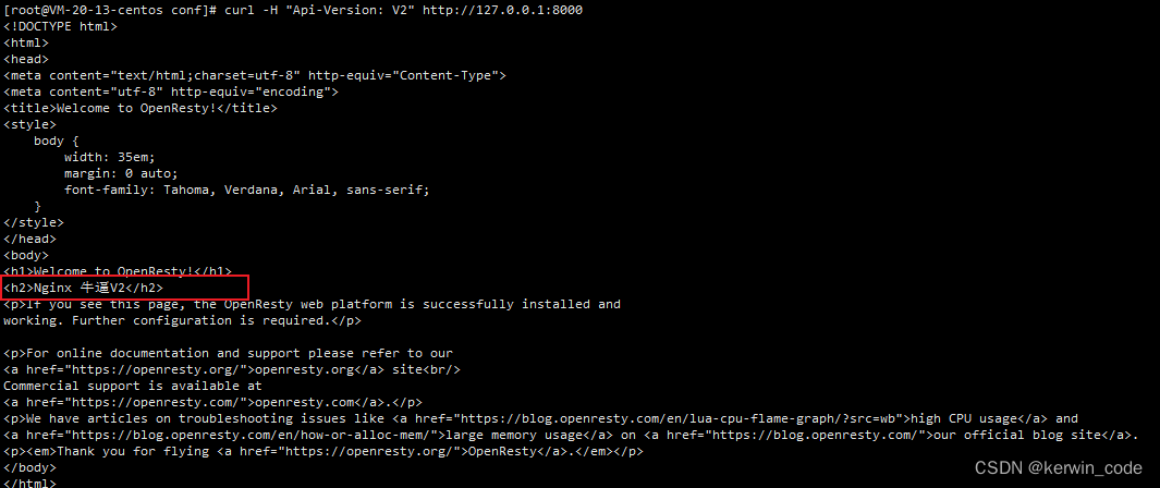 使用Docker安装OpenResty并使用Lua脚本实现通过请求头动态路由_openresty docker-CSDN博客
