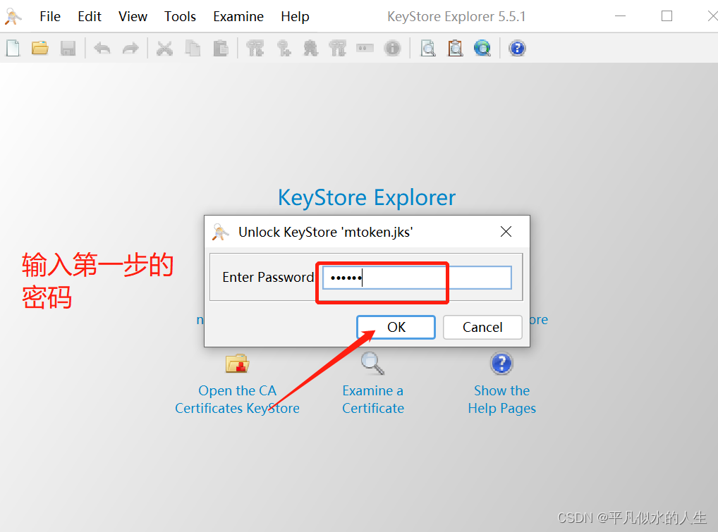 Keytool创建密钥对_keytool -genkeypair-CSDN博客