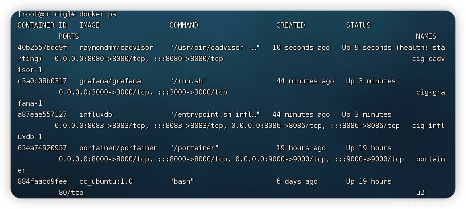 适用于arm64芯片的docker进阶监控CAdvisor+Influxdb+Grafana_cadvisor arm-CSDN博客