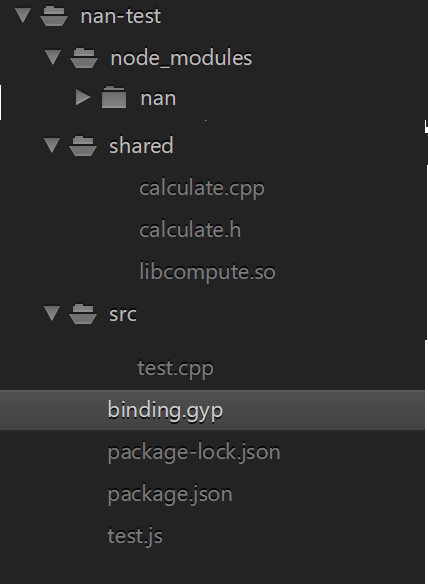 Nodejs用Nan的方式C++扩展并调用C++动态链接库_nodejs nan-CSDN博客