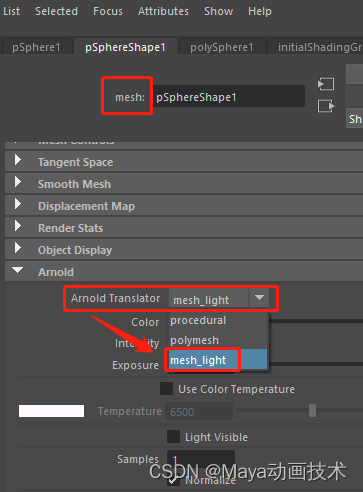 maya_arnold物体mesh_light灯光雾的降噪及光晕技巧_maya光晕怎么做-CSDN博客
